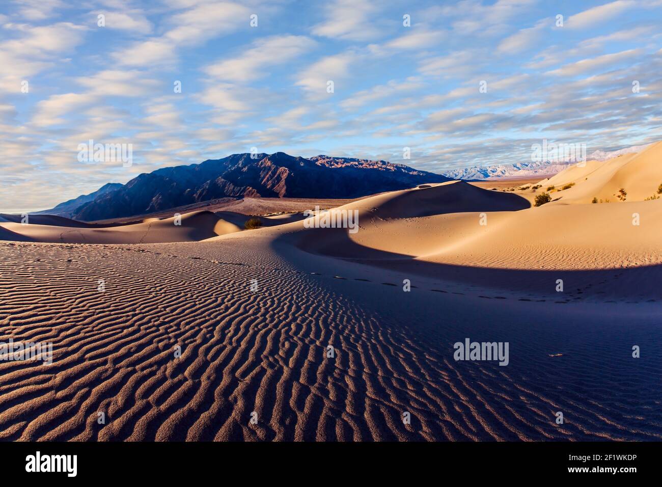 Wind and light hi-res stock photography and images - Alamy