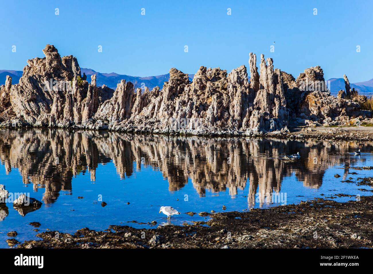 The columns - remains of Tufa Stock Photo - Alamy