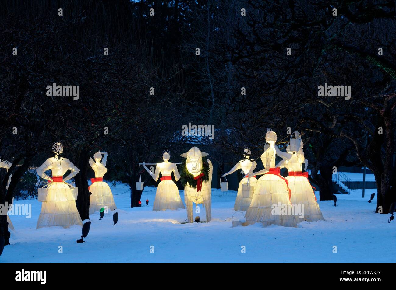 Seven swans a swimming hi-res stock photography and images - Alamy