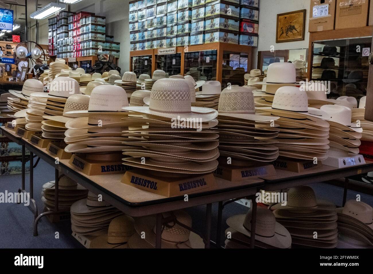 Mans avenue hi-res stock photography and images - Alamy