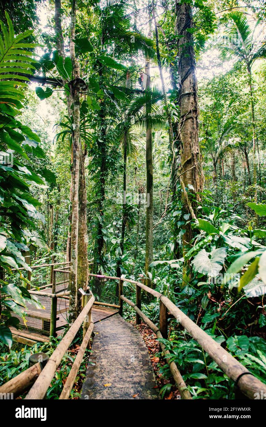 Jungle deep hi-res stock photography and images - Alamy