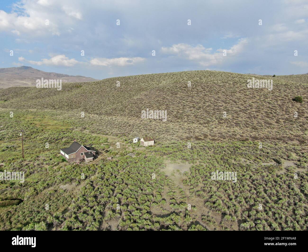 Desert wood hi-res stock photography and images - Alamy