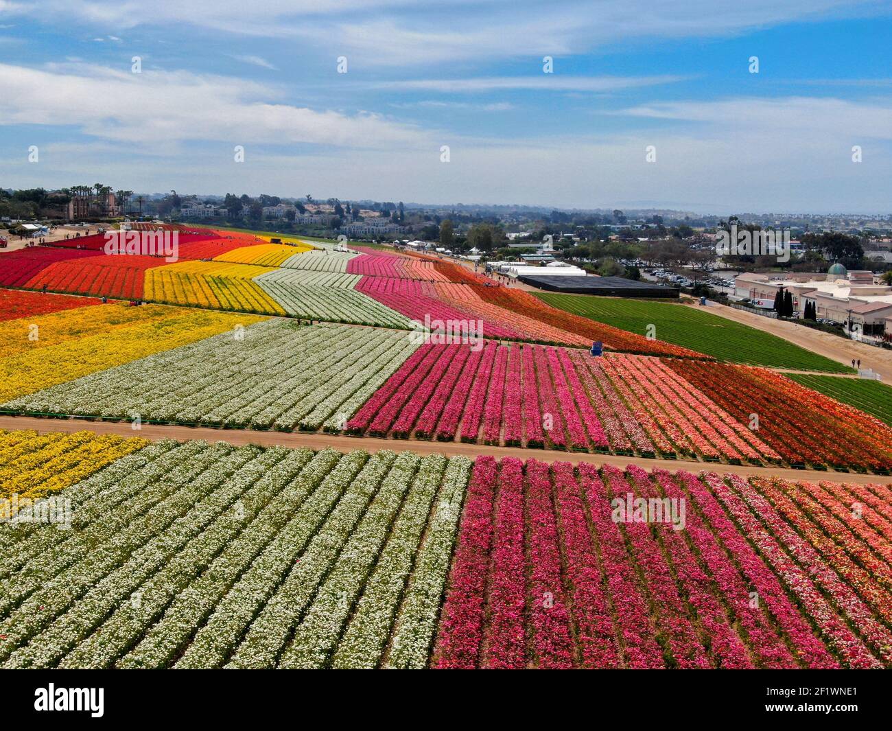 Aerial view of flower fields Stock Photo - Alamy