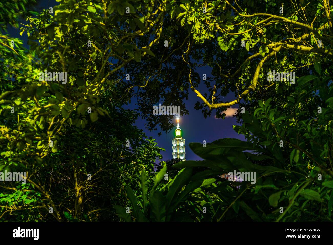 Taipei look out of the woods 101 Stock Photo - Alamy