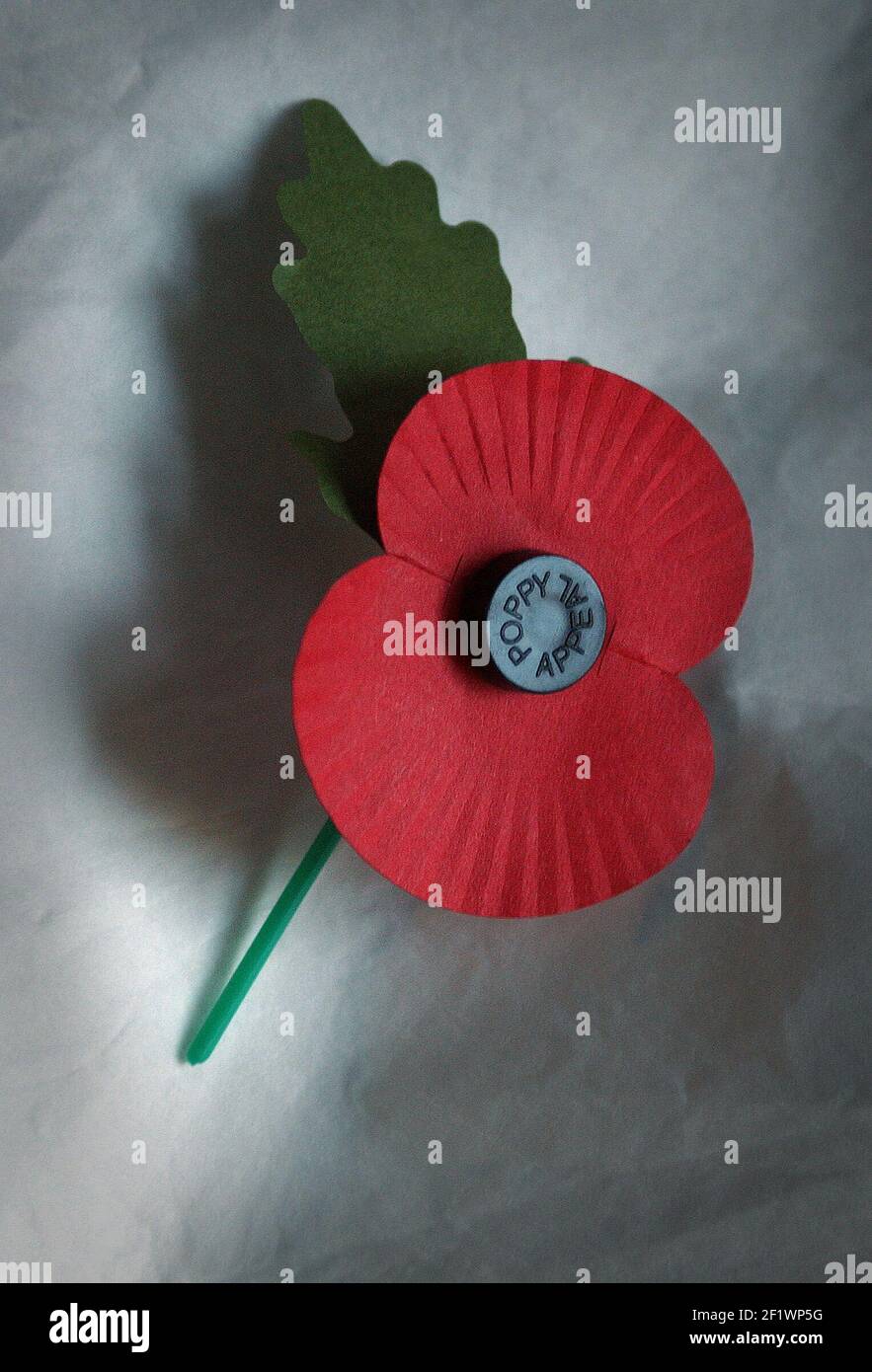 REMEMBRANCE DAY POPPY Stock Photo - Alamy