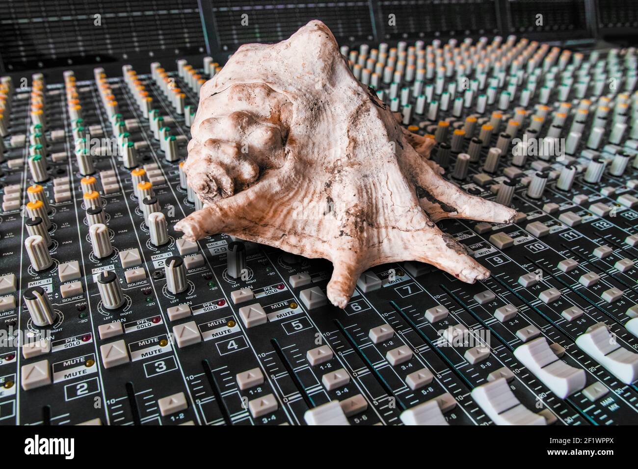 Conch shell listening hi-res stock photography and images - Alamy