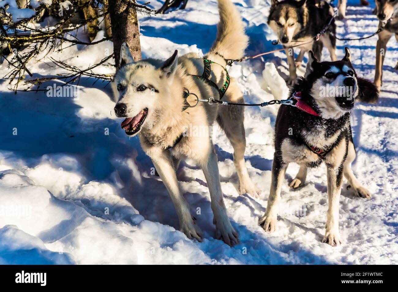 Ride rest hi-res stock photography and images - Alamy