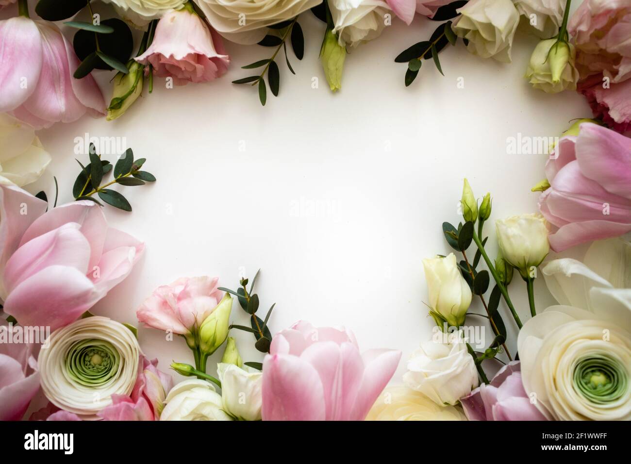 Pink Flower Border Design