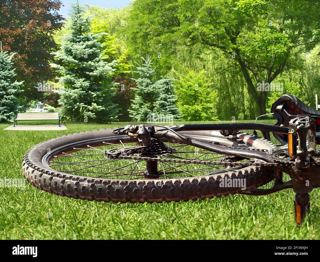 Mountainbike wheel hi-res stock photography and images - Alamy