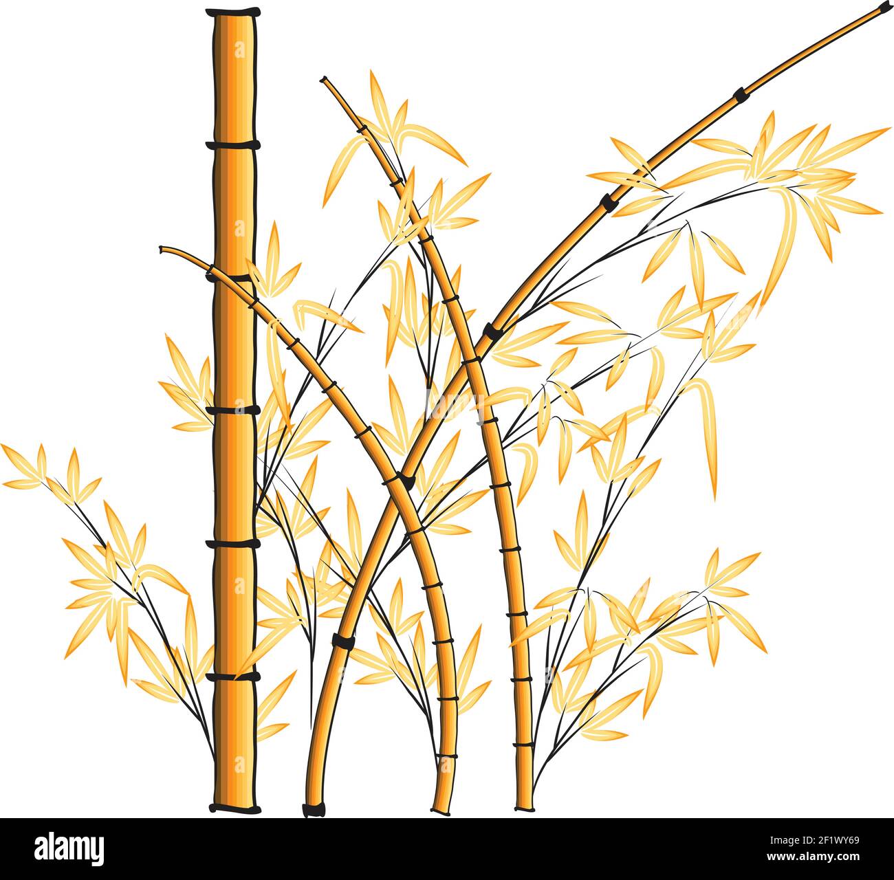 Bamboo design background Stock Vector Image & Art - Alamy