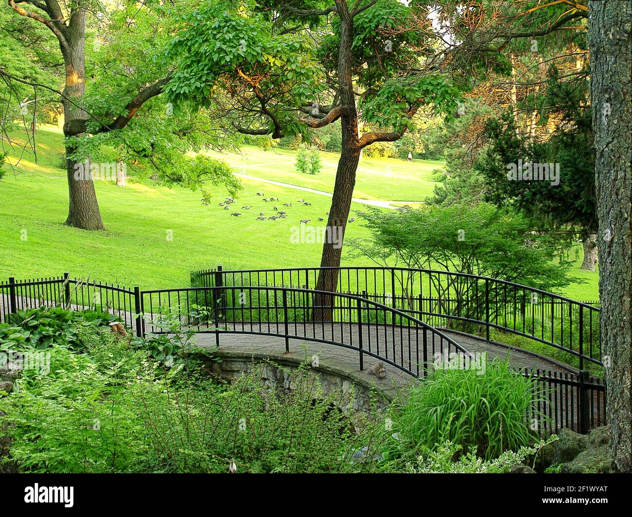 Park with bridge Stock Photo - Alamy