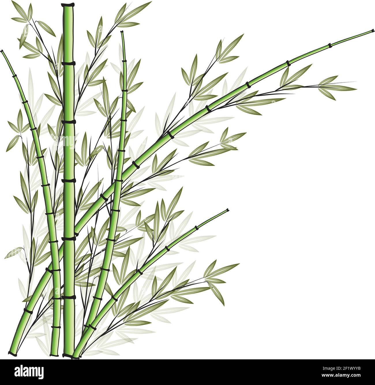 Bamboo design background Stock Vector Image & Art - Alamy