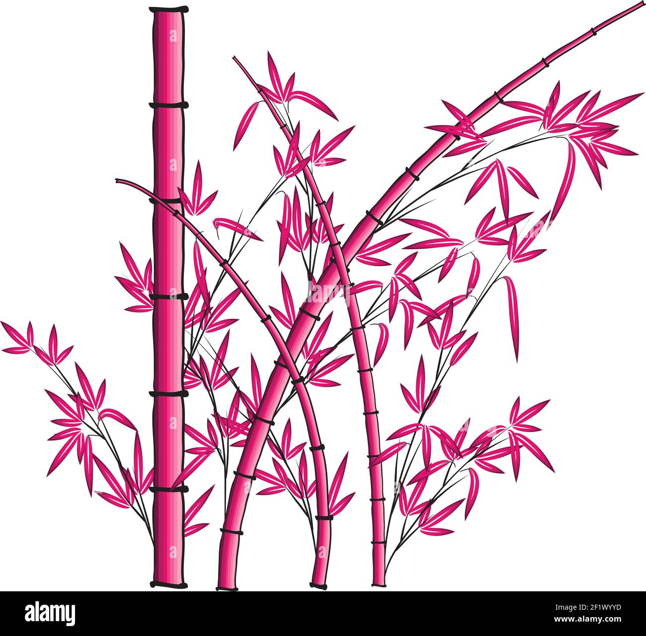 Bamboo design background Stock Vector Image & Art - Alamy
