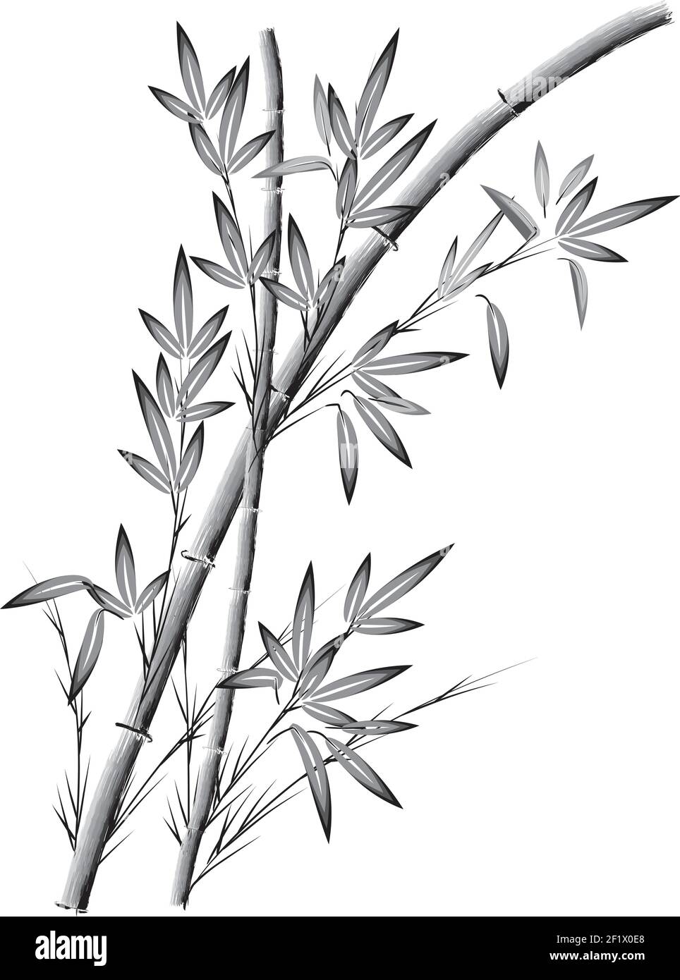 Bamboo design background Stock Vector Image & Art - Alamy