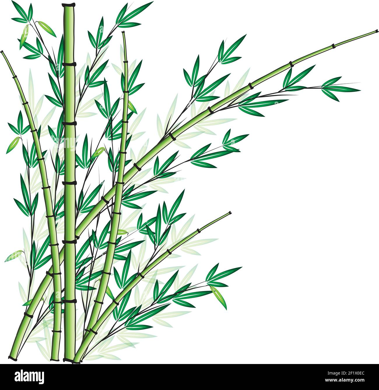 Bamboo design background Stock Vector Image & Art - Alamy