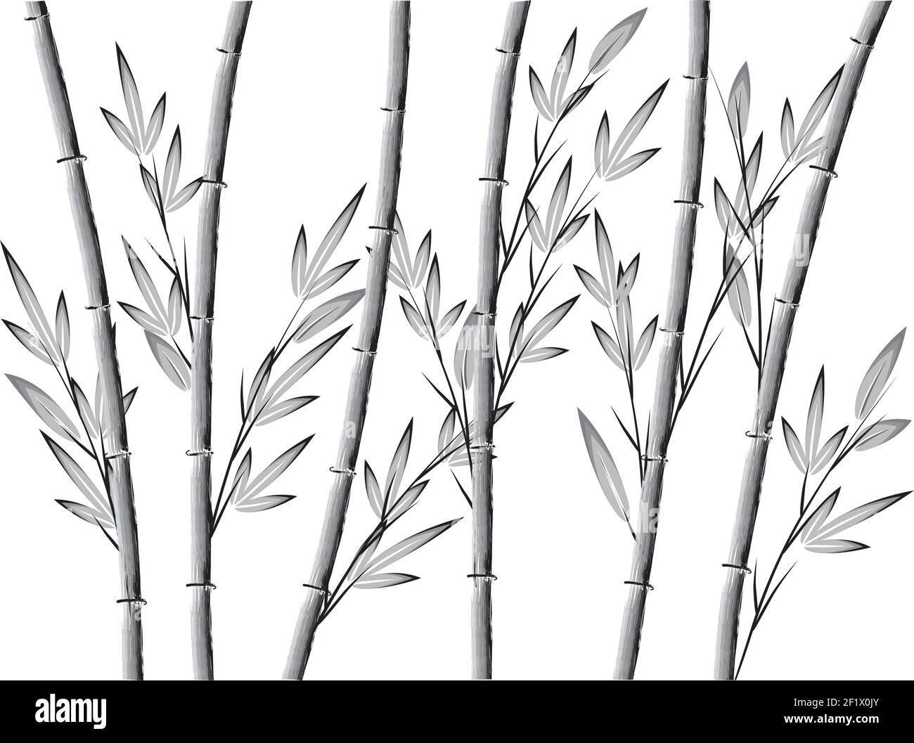 Bamboo design background Stock Vector Image & Art - Alamy