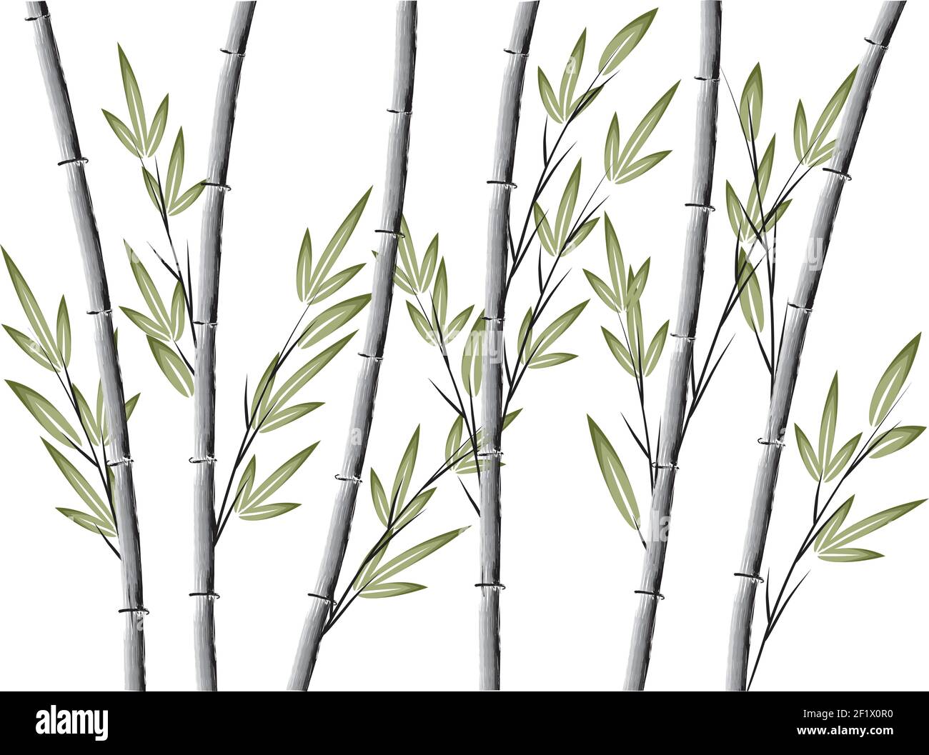Bamboo design background Stock Vector Image & Art - Alamy