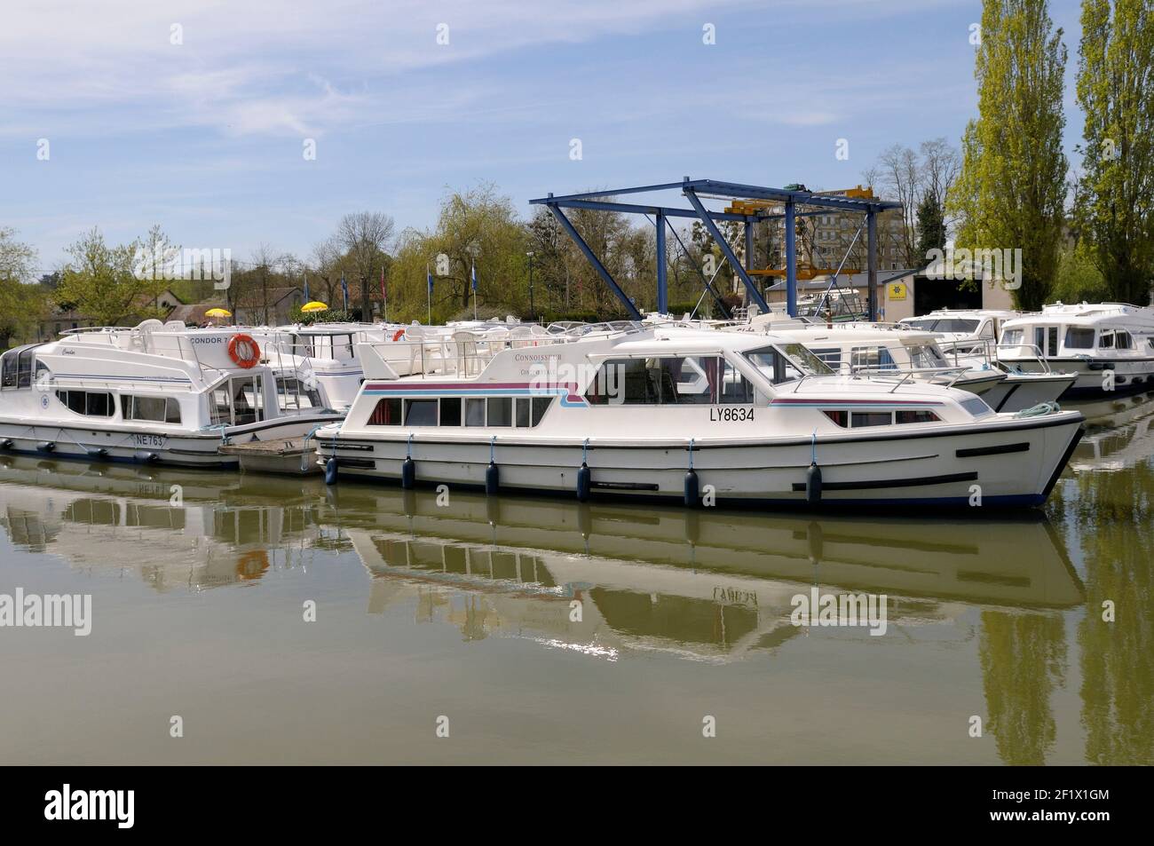 Crown blue line hi-res stock photography and images - Alamy