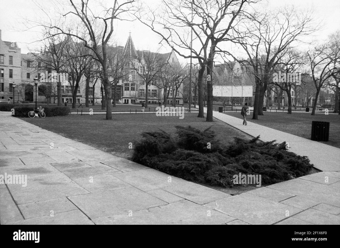Square, Chicago IL, USA, 1977 Stock Photo - Alamy