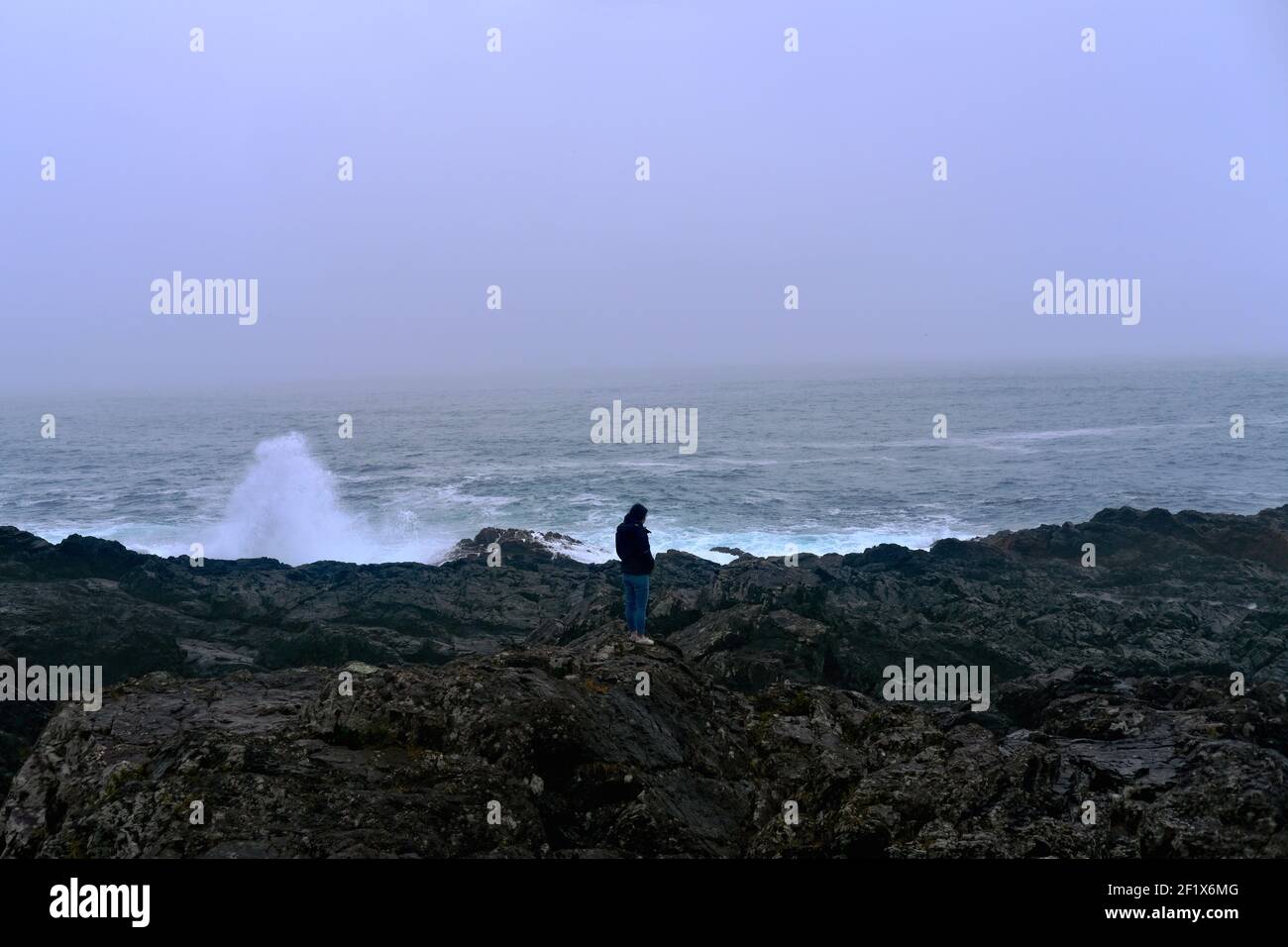 Staring out into the ocean at Amphitrite Point Lighthouse, Vancouver ...