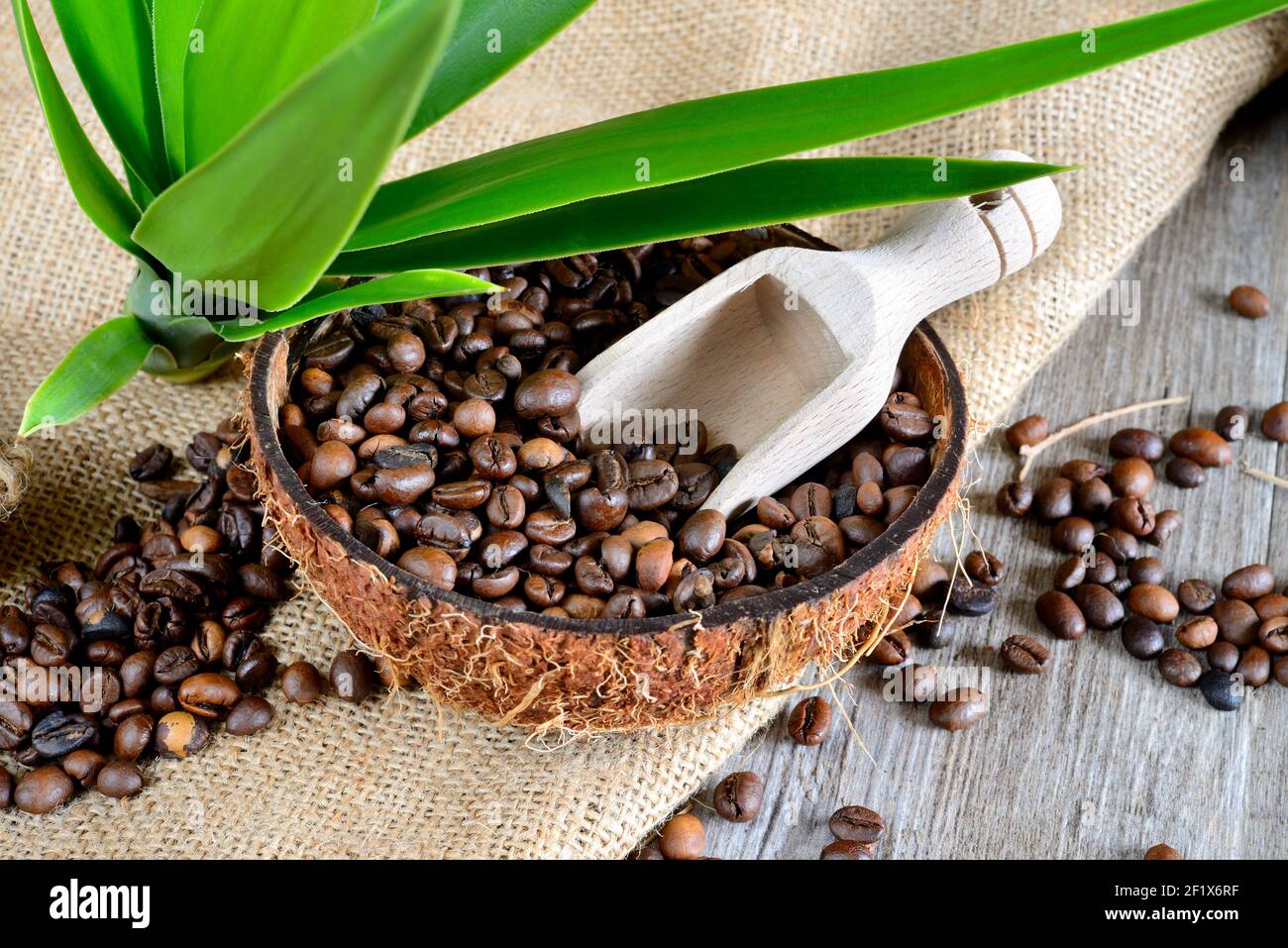 Cool beans hi-res stock photography and images - Alamy