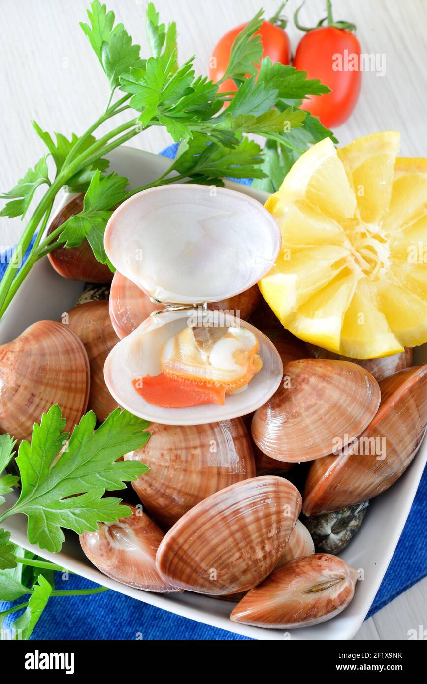 Freshwater Clams High Resolution Stock Photography and Images - Alamy