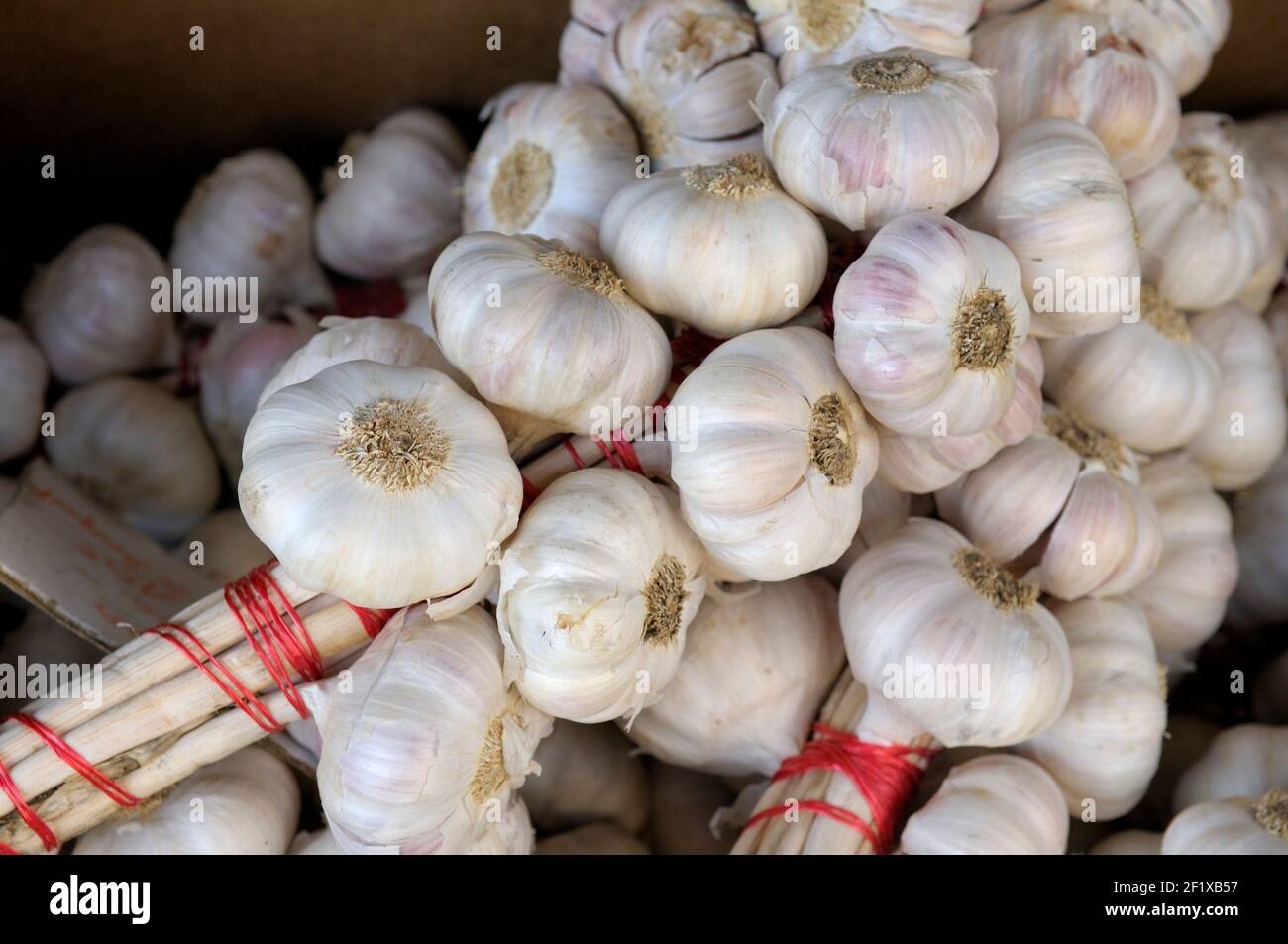 Braided garlic at the Lourmarin street market, Lourmarin, Vaucluse ...