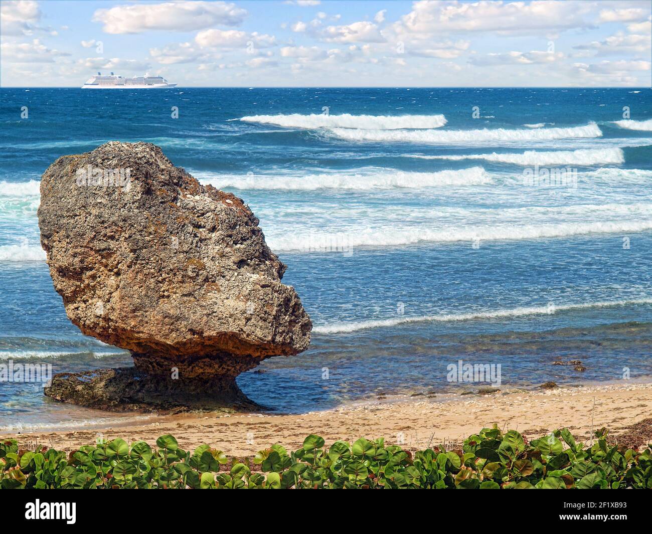 Basheba barbados hi-res stock photography and images - Alamy