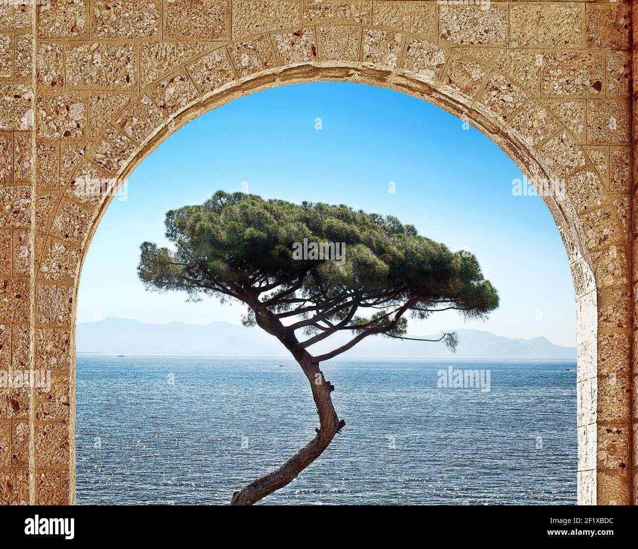 Stone arch and tree Stock Photo - Alamy