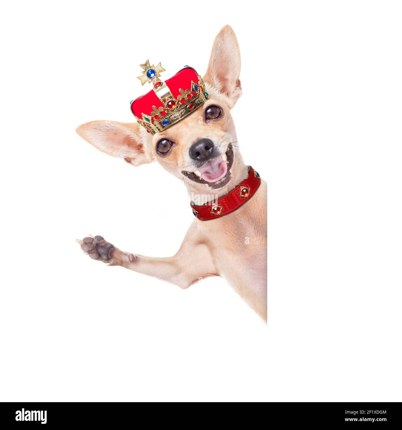 Catholic pope medieval Cut Out Stock Images & Pictures - Alamy