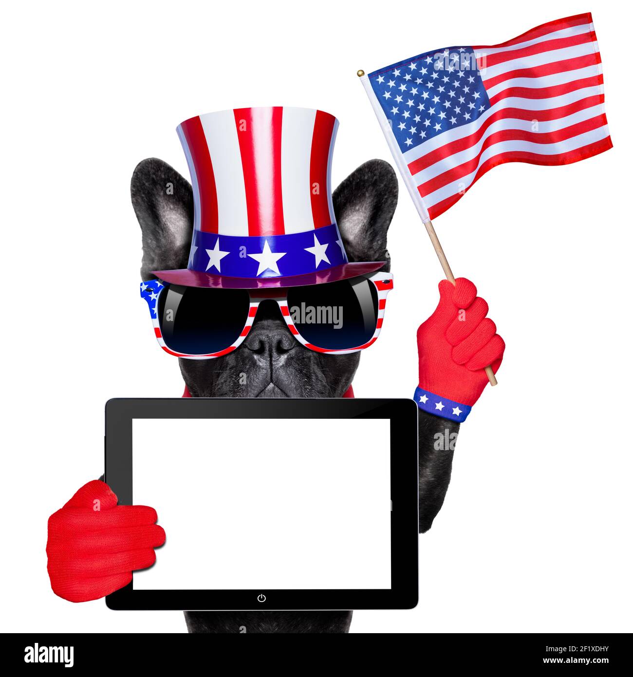 Election poster dog hi-res stock photography and images - Alamy