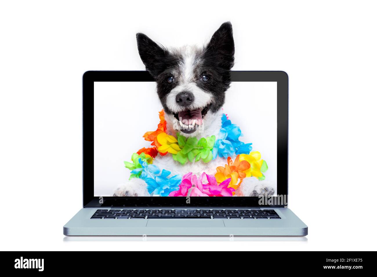 Booking home Cut Out Stock Images & Pictures - Alamy