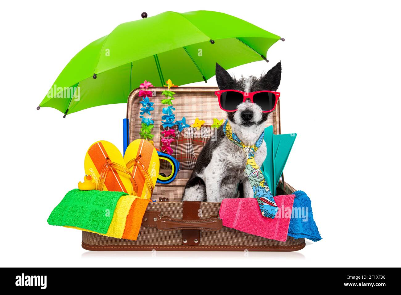 Summer items in bag Cut Out Stock Images & Pictures - Alamy