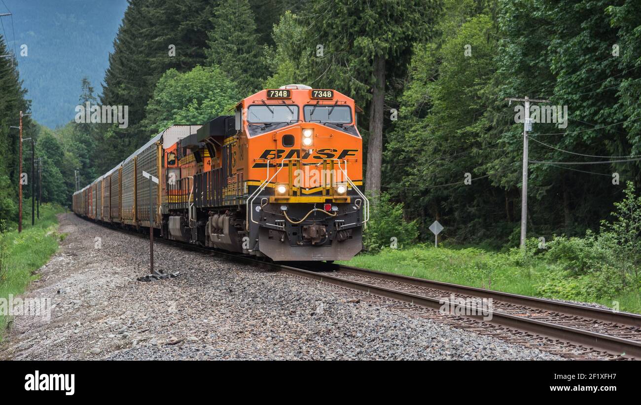 BNSF freight train moving a consist of car transporters through forested mountain sides in the ...