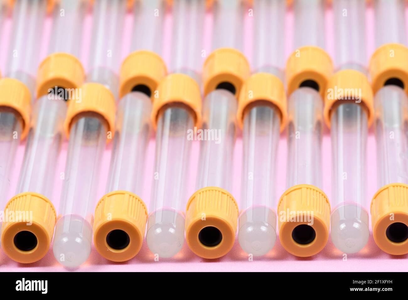 empty vacuum tube for blood collection in clinical analysis laboratory ...