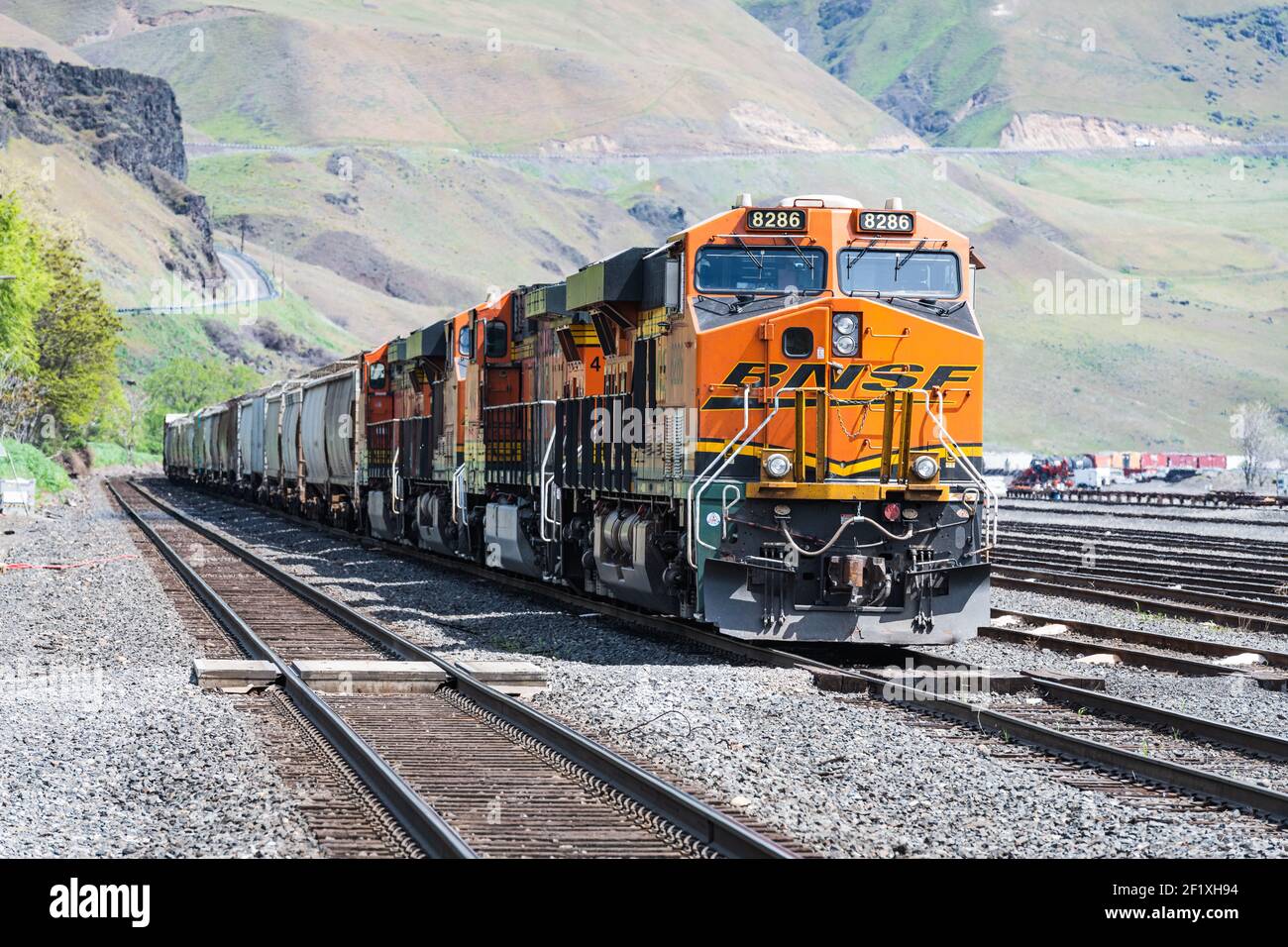 BNSF freight train waits to proceed westbound at Wishram Washington ...