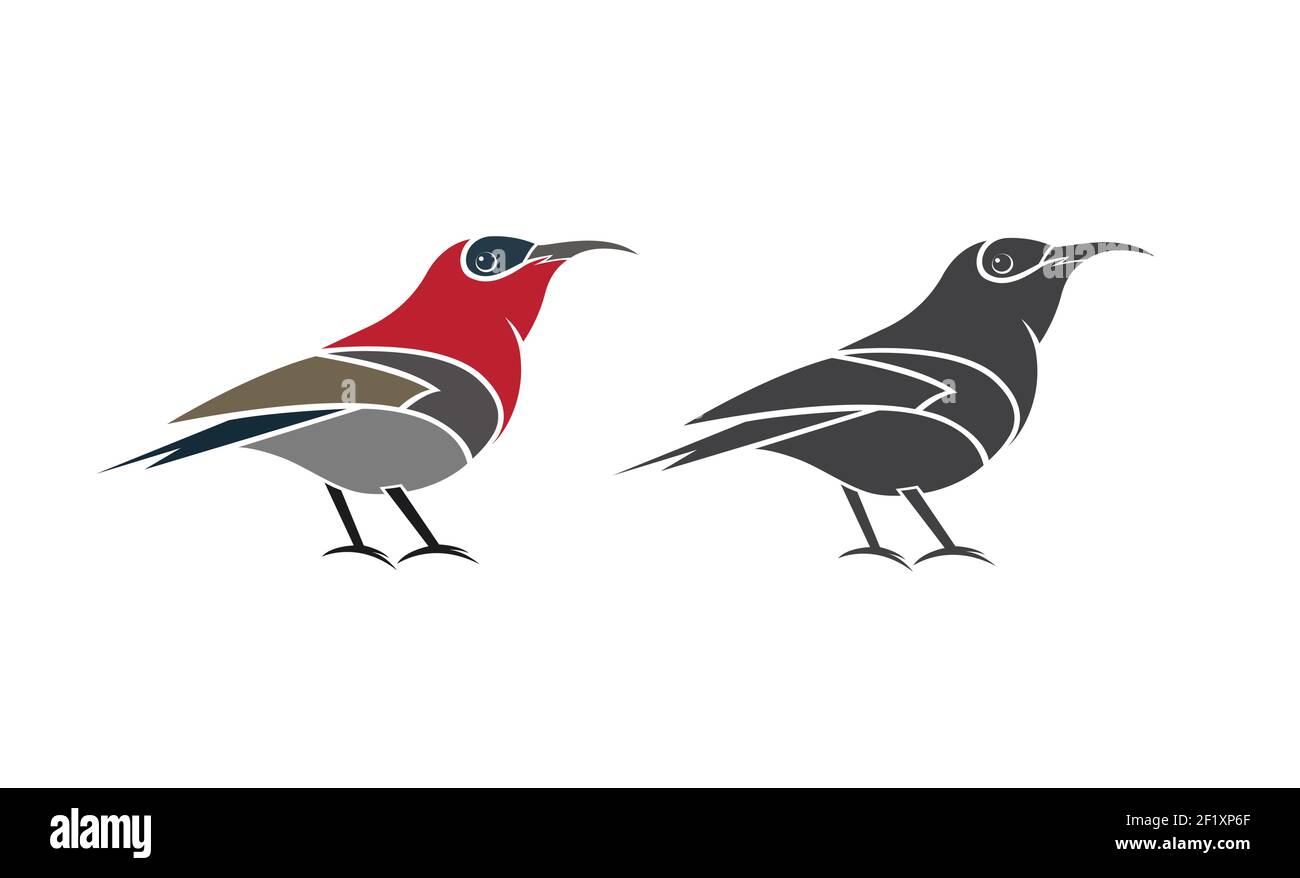 Sunbird Stock Vector Images - Alamy