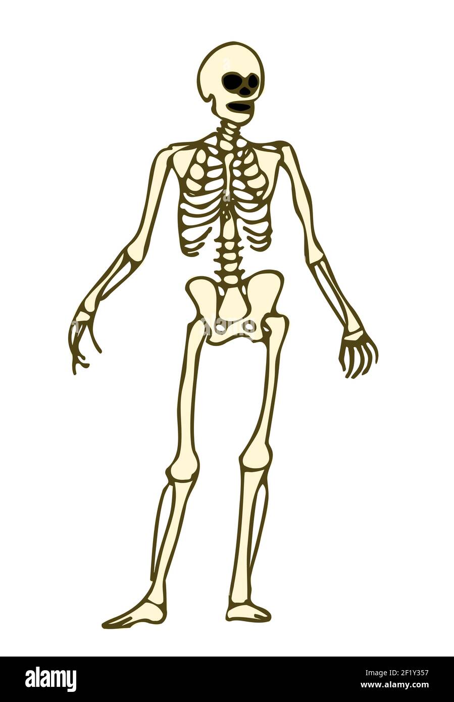 Skeleton doodle clipart Stock Photo - Alamy