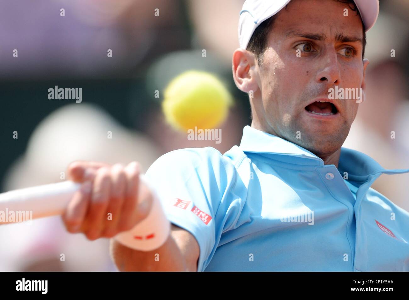 Al Nowak's Instagram, Twitter & Facebook on IDCrawl