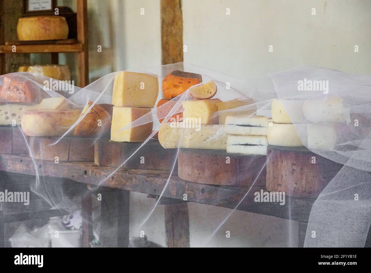 Variety of traditional cheese in a cheese farm store Stock Photo - Alamy