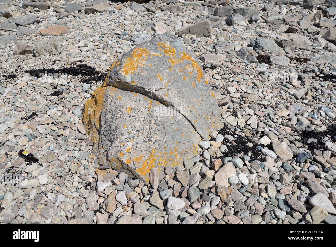 Stone on a beach Stock Photo - Alamy
