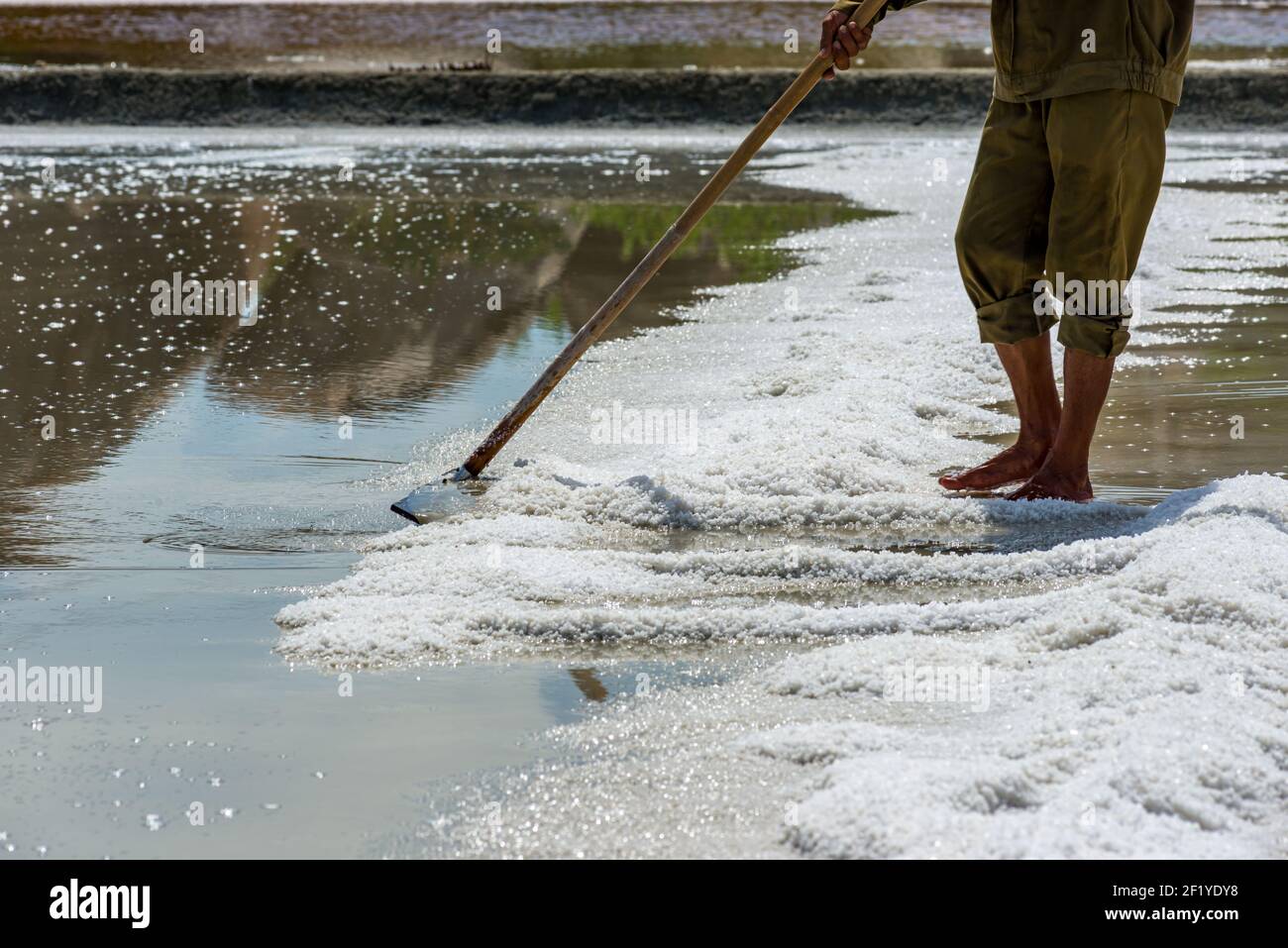 Male worker harvesting sea salt in the salt farm Stock Photo - Alamy