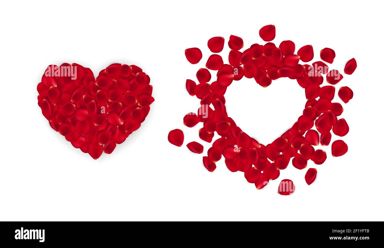 Rose petal different type heart vector illustration. Heart made from ...
