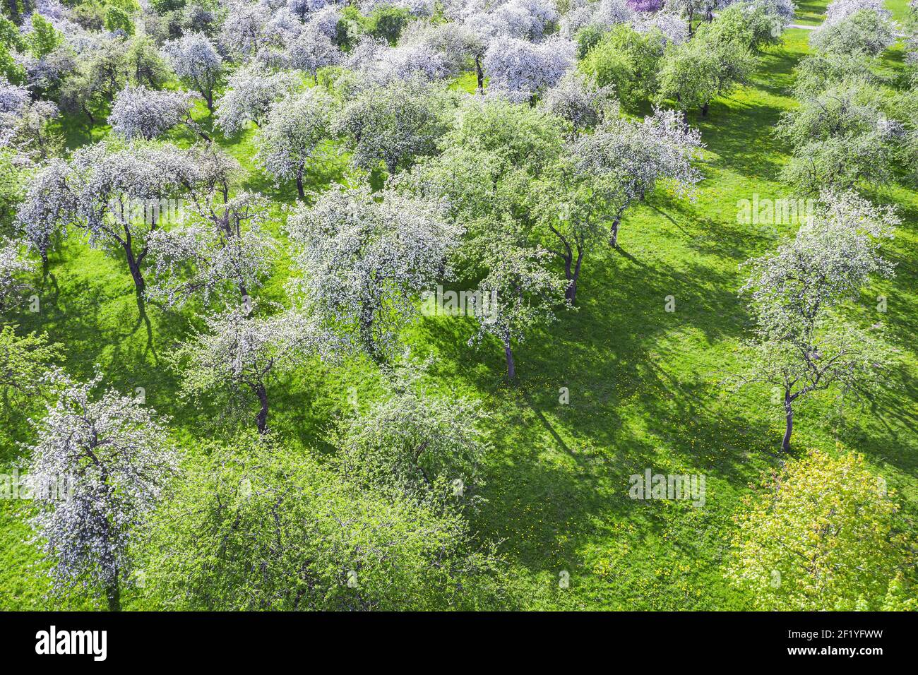 Apple farm aerial view hi-res stock photography and images - Alamy