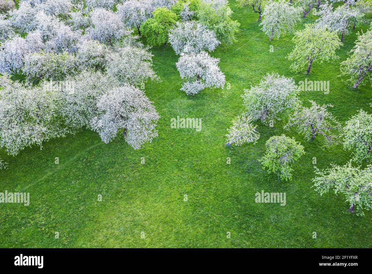 Aerial view apple orchard in hi-res stock photography and images - Alamy