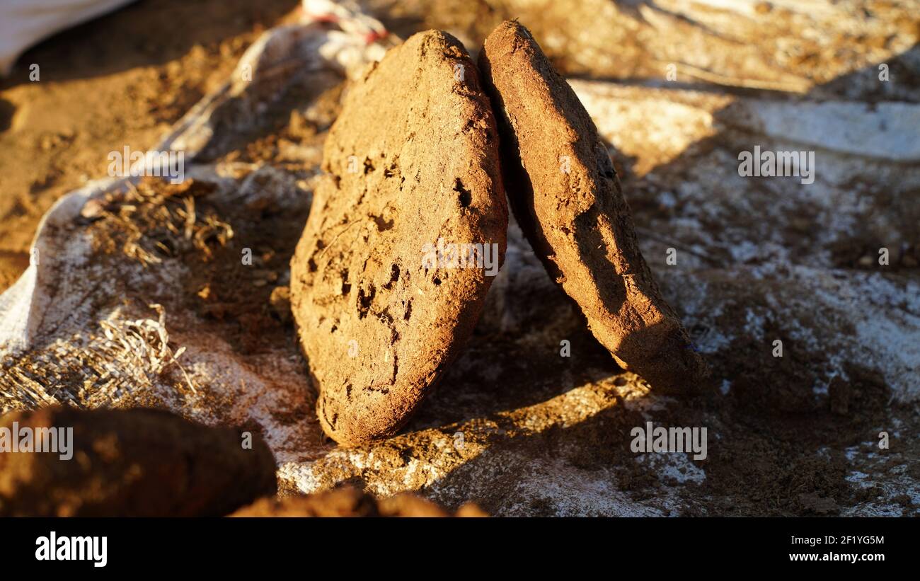 Pile of dried cow dung hi-res stock photography and images - Alamy