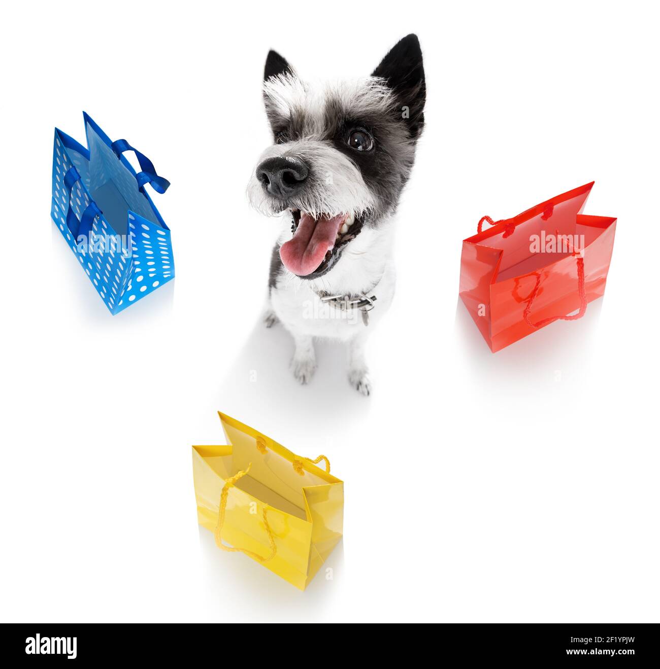 Sale shopping dog Stock Photo - Alamy