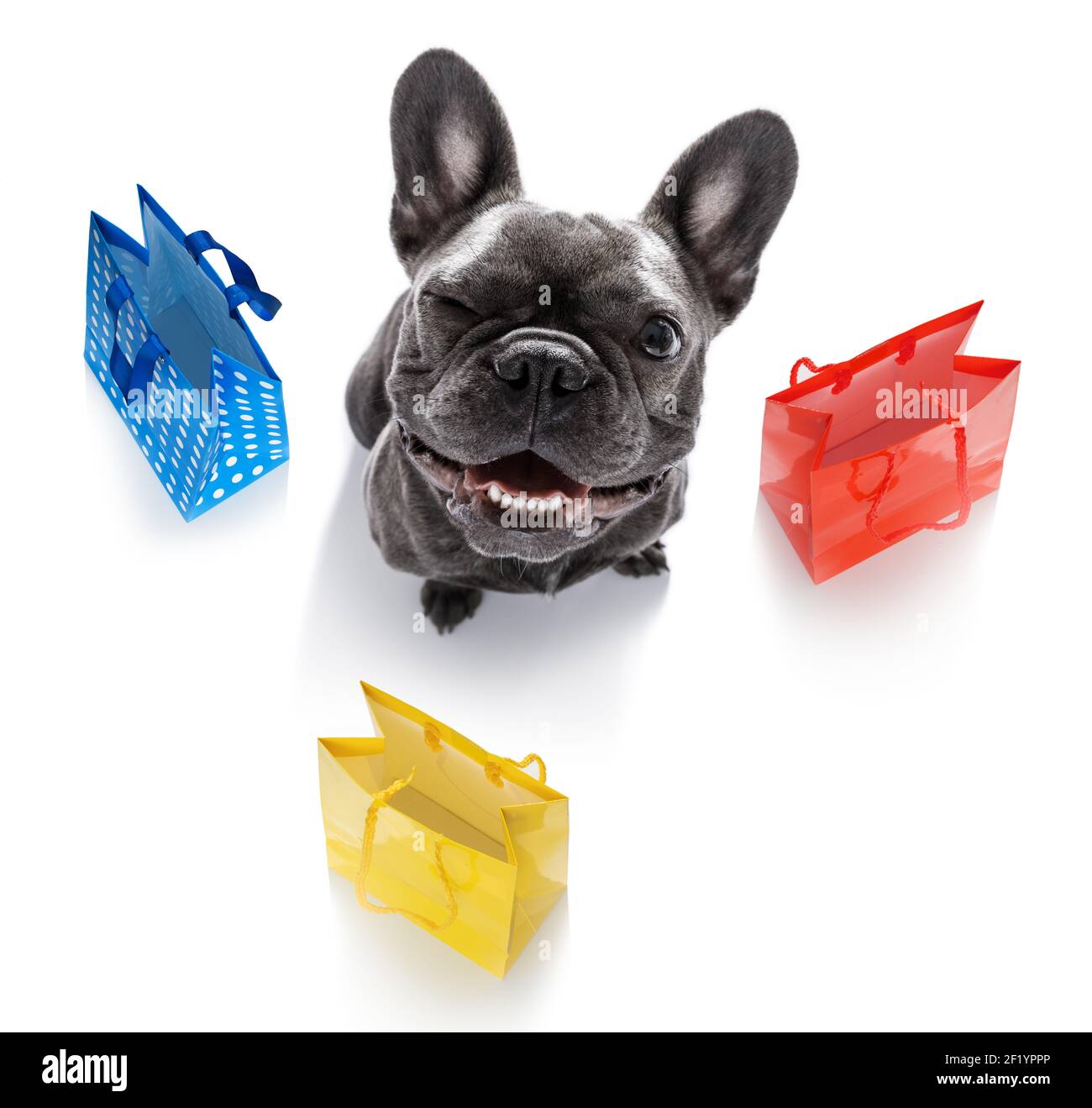 Sale shopping dog Stock Photo - Alamy