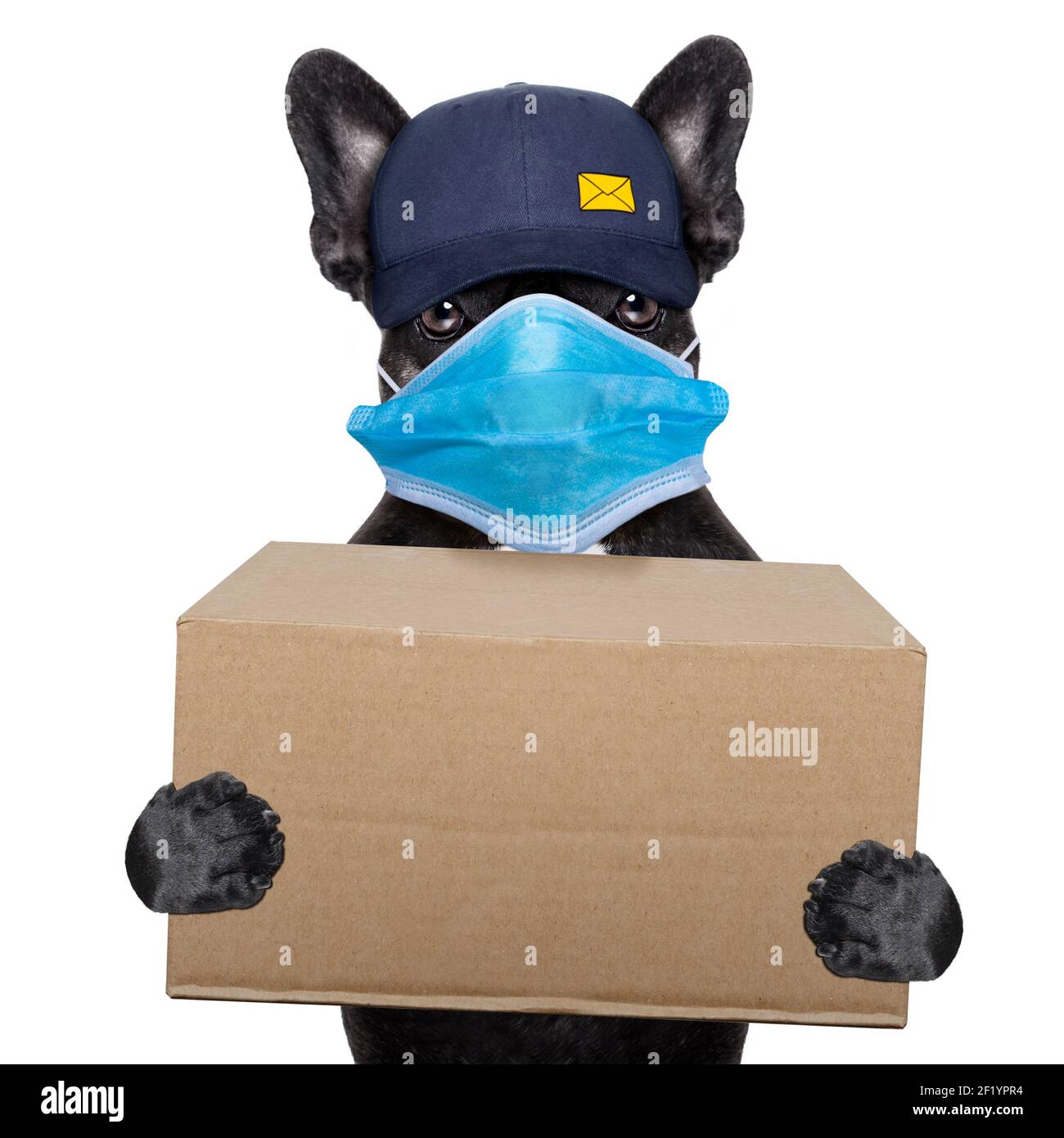 Parcel service dog hi-res stock photography and images - Alamy