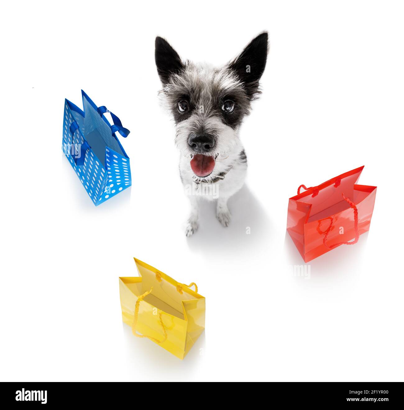 Sale shopping dog Stock Photo - Alamy